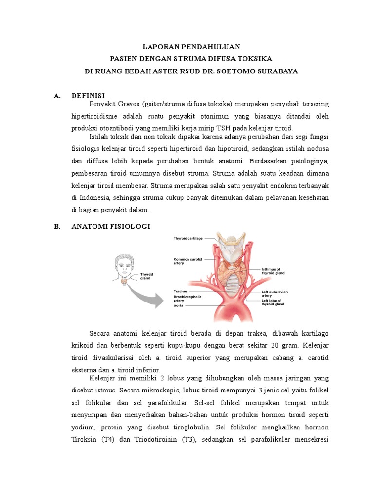 LP Struma Difusa | PDF