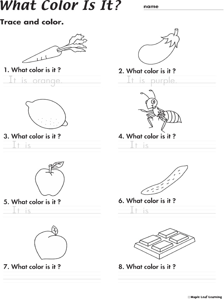 What Color Is It Worksheet | PDF