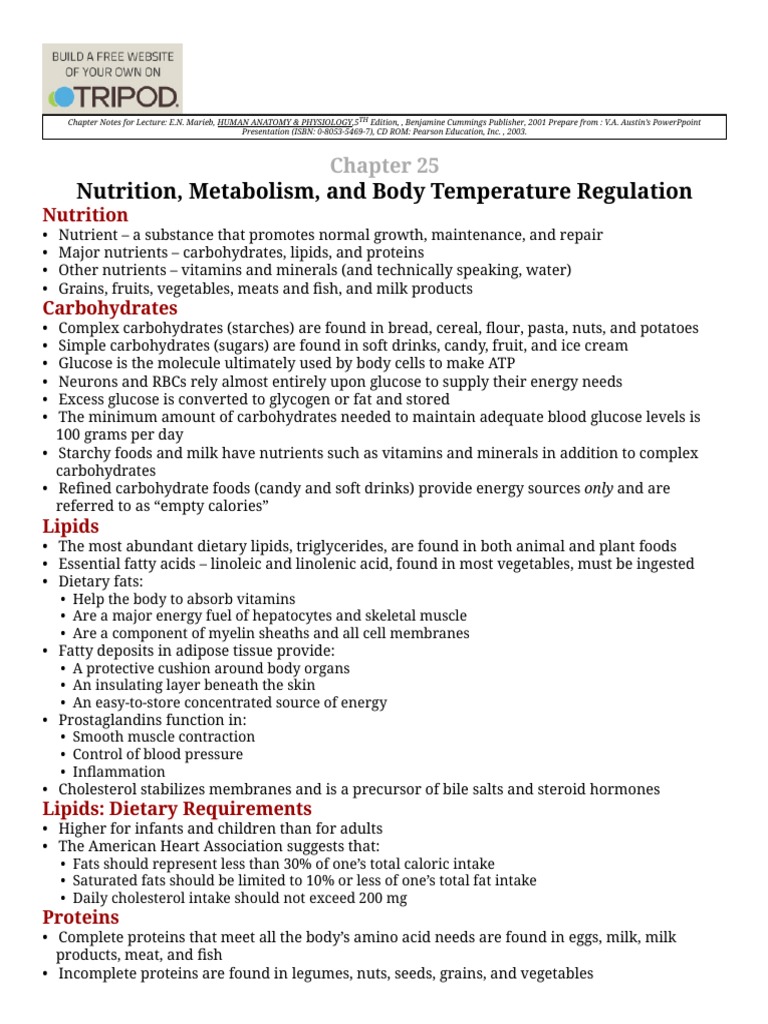 Nutrition, Metabolism, and Body Temperature Regulation | PDF ...