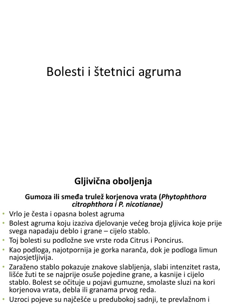 Bolesti I Stetnici Agruma PDF | PDF