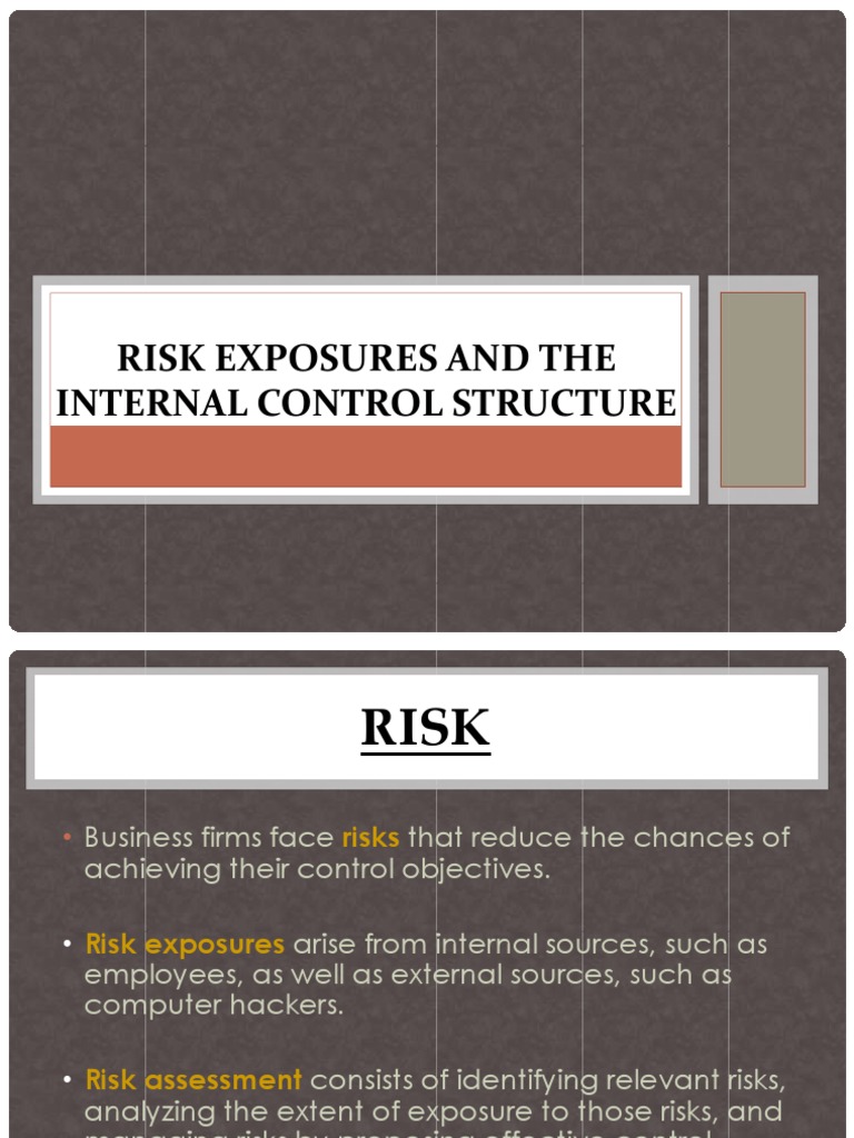 Risk Exposures and The Internal Control Structure | PDF | Internal ...