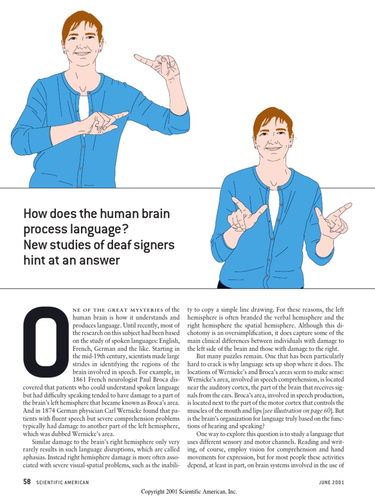 How Does The Human Brain Process Language? New Studies of Deaf Signers ...