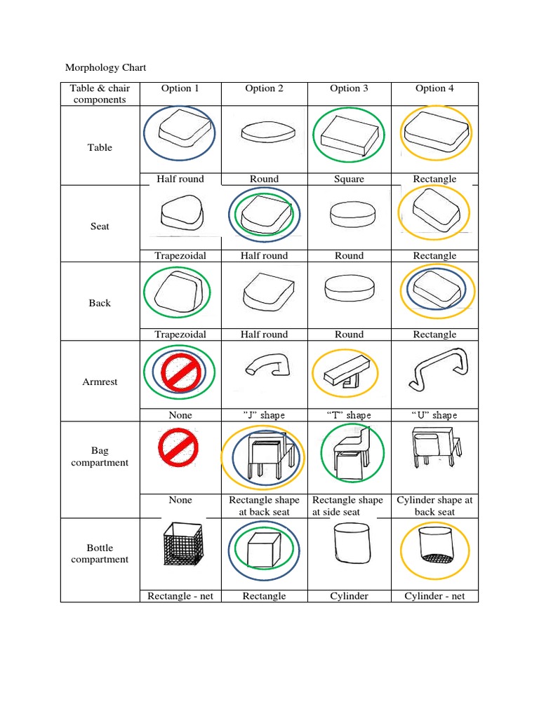 Morphology Chart 2 | PDF | Chair | Nature