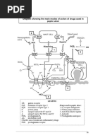 FOSFA List of Banned Immediate Previous Cargoes With Flowchart Nov 2022 ...