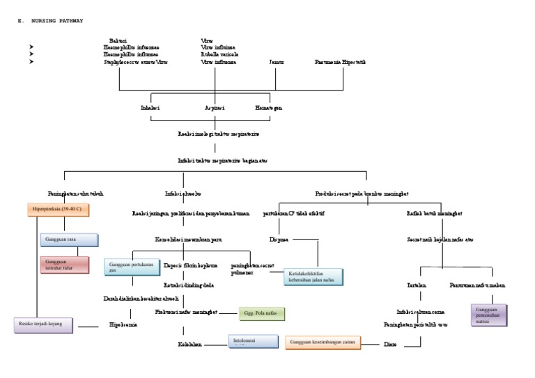Pathway Pneumonia | PDF