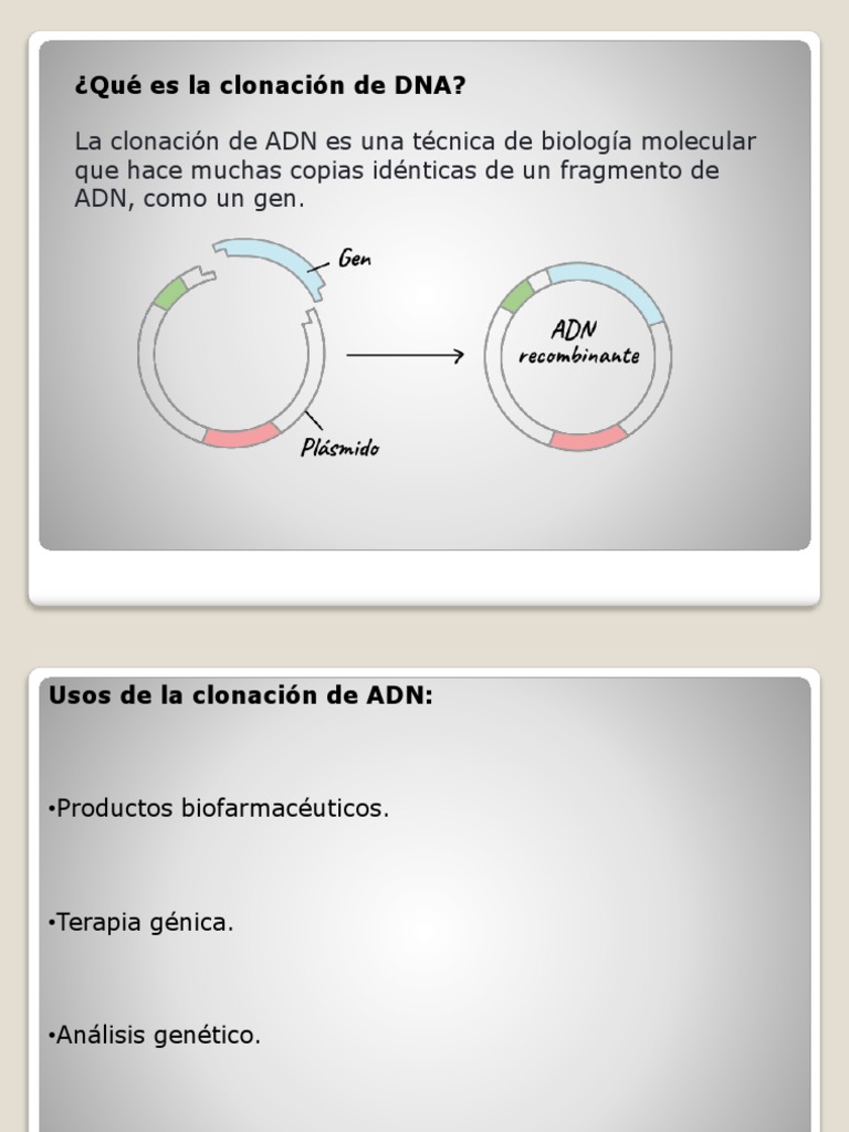 Clonación | PDF | Plásmido | Adn