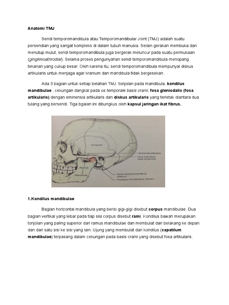 Anatomi TMJ | PDF