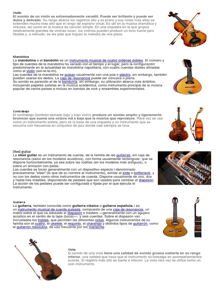 30 INSTRUMENTOS. DE CUERDA.docx | Guitarras | Piano
