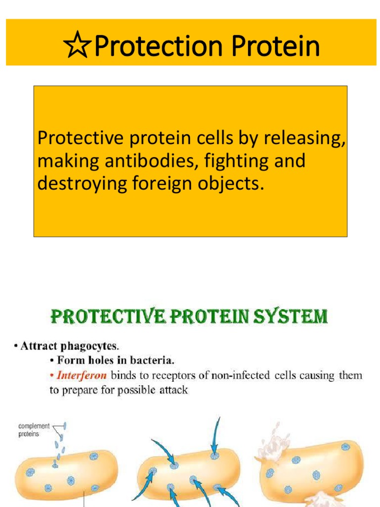 Protection Protein: Protective Protein Cells by Releasing, Making ...
