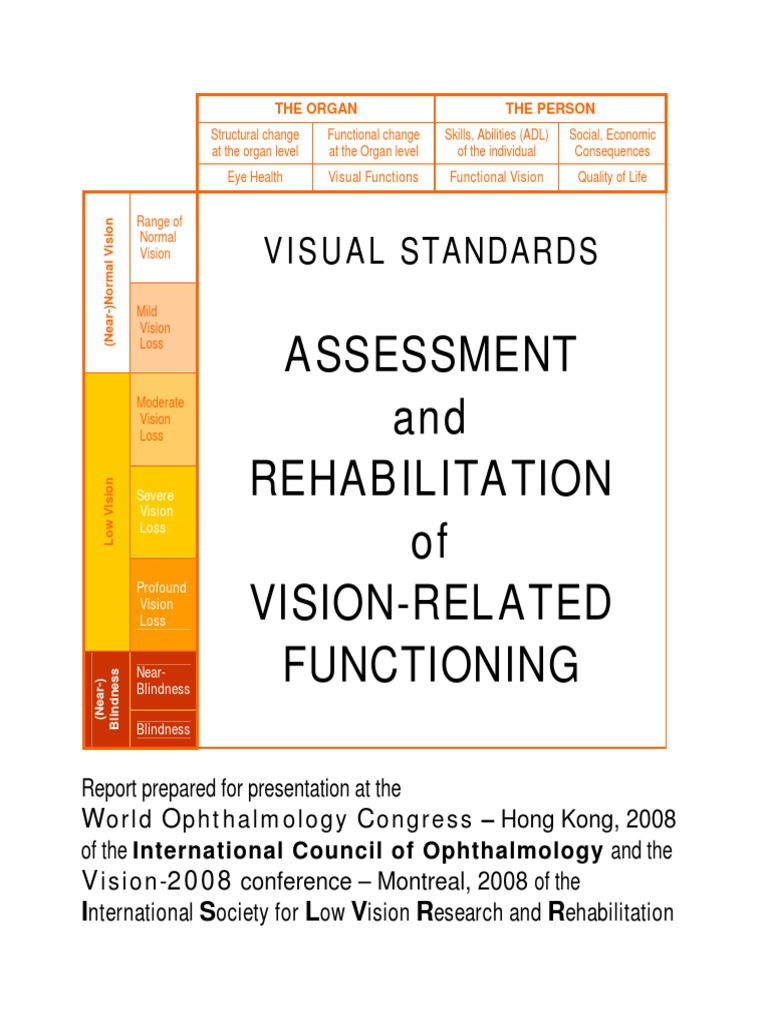 Low Vision ICO | PDF | Contrast (Vision) | Visual Impairment
