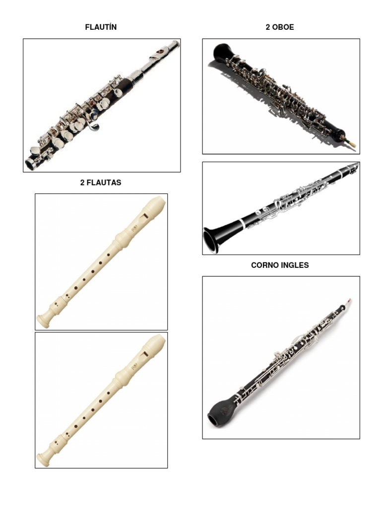 Imagenes FLAUTÍN | PDF