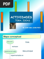EL TEMA Y Subtemas - FICHA PRÁCTICA | PDF | Coala | Memoria