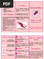 Triptico Cancer de Prostata | PDF | Cancer de prostata | Cáncer