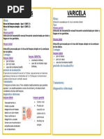 Funcionamiento del SINAVE en México | PDF | Epidemiología ...