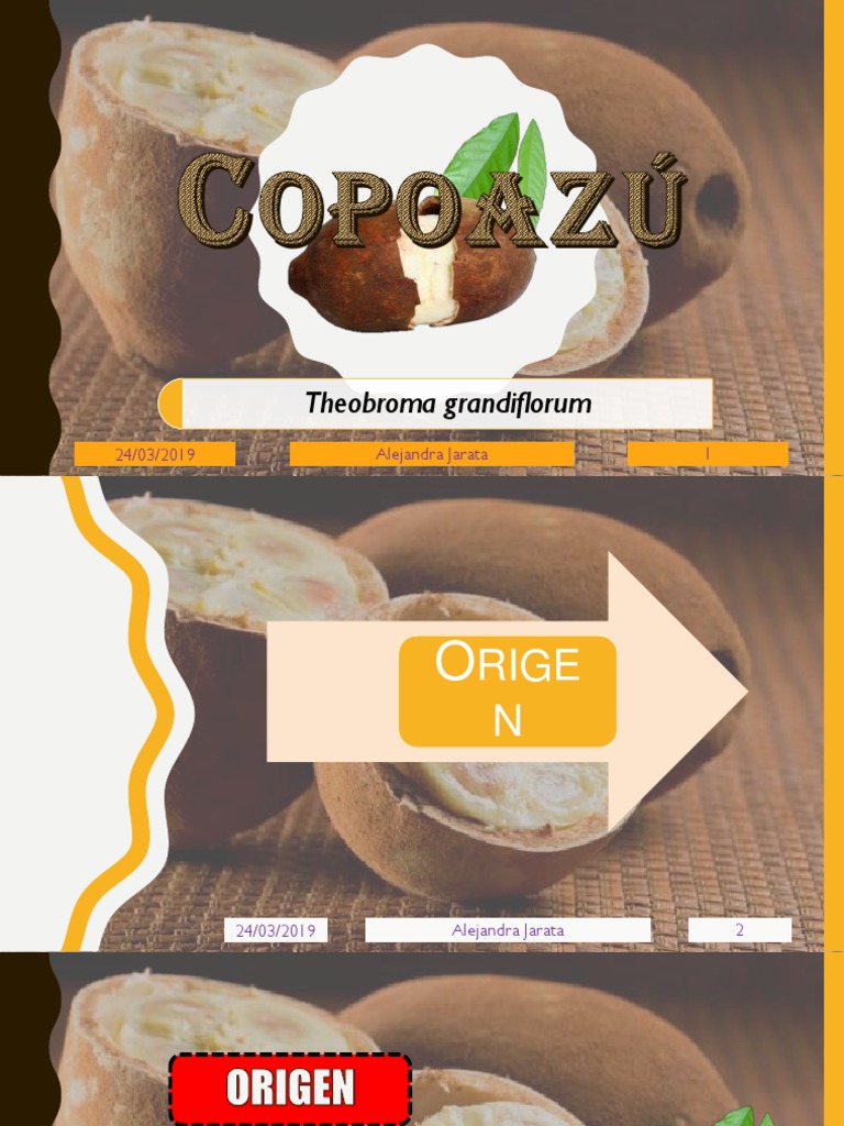 Variedades y Beneficios del Copoazú | PDF | Fruta tropical | Fruta