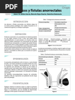 Clasificación de Bockus | PDF | Abdomen | Inflamación