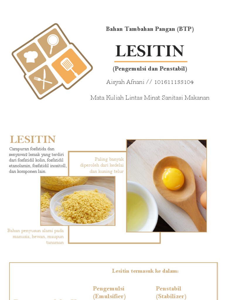 Lesitin Sebagai BTP | PDF