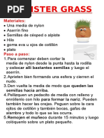 Señor y Señora Cabeza de Pasto Paso A Paso | PDF | Hogar, jardinería y ...