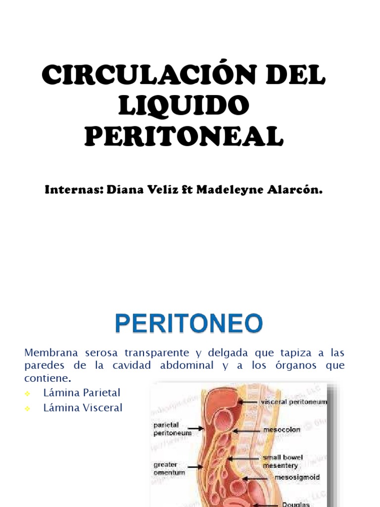 Circulación del Líquido Peritoneal | PDF | Abdomen | Anatomía