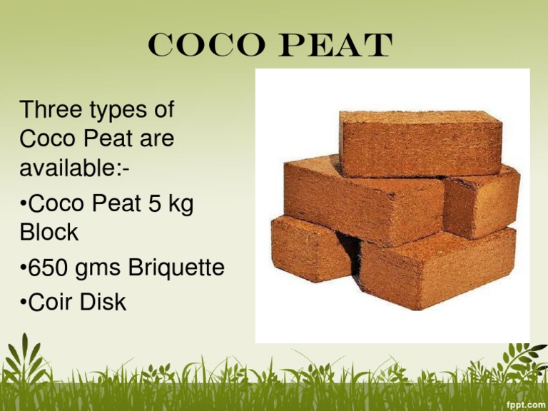 Coco Peat: Three Types of Coco Peat Are Available: - Coco Peat 5 KG ...