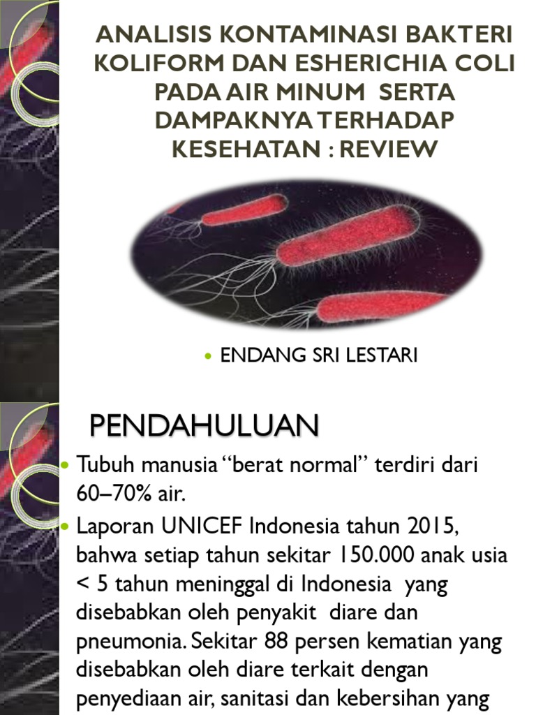 Analisa Dampak Bakteri E.coli | PDF