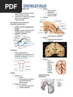 Lobulo de La Insula | PDF | Corteza Insular | Lóbulo temporal