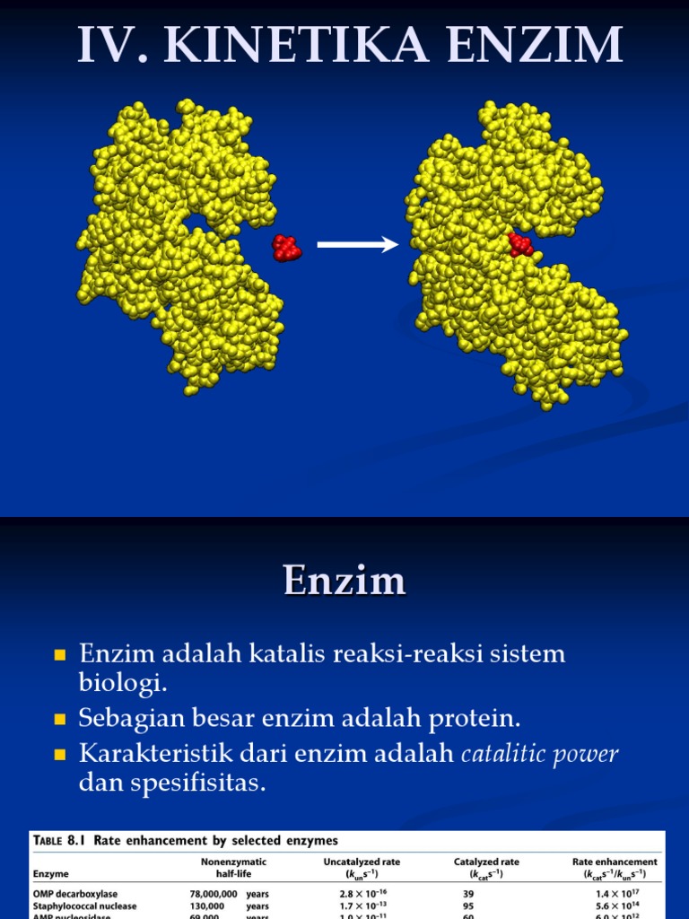 Bagian IV Kinetika Enzim | PDF