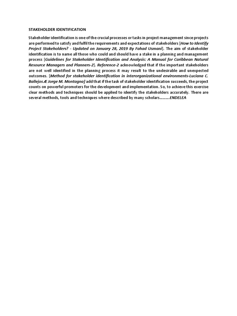 Effective Stakeholder Identification Techniques | PDF | Stakeholder ...
