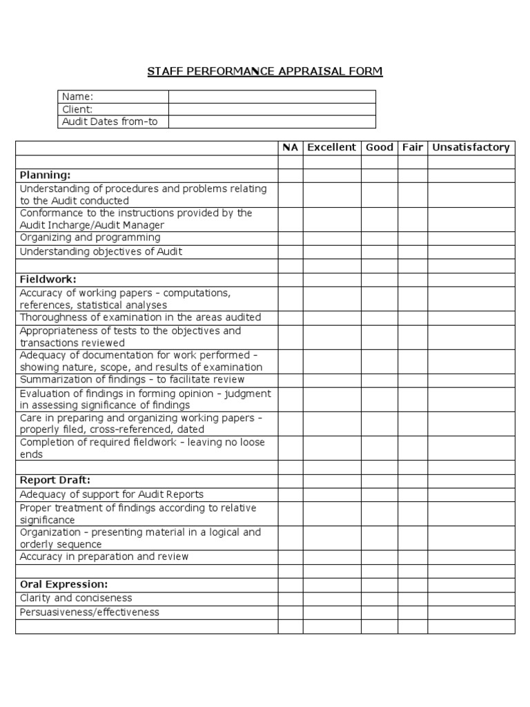 Staff Audit Performance Sheet | PDF