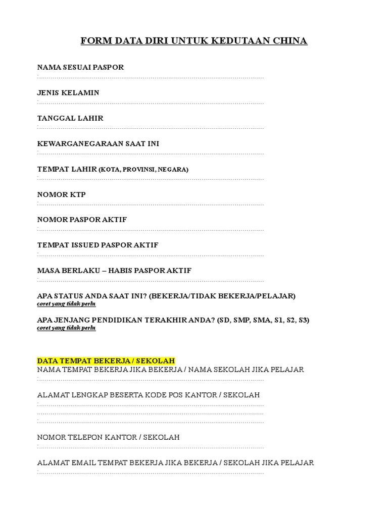 Form Data Diri China | PDF