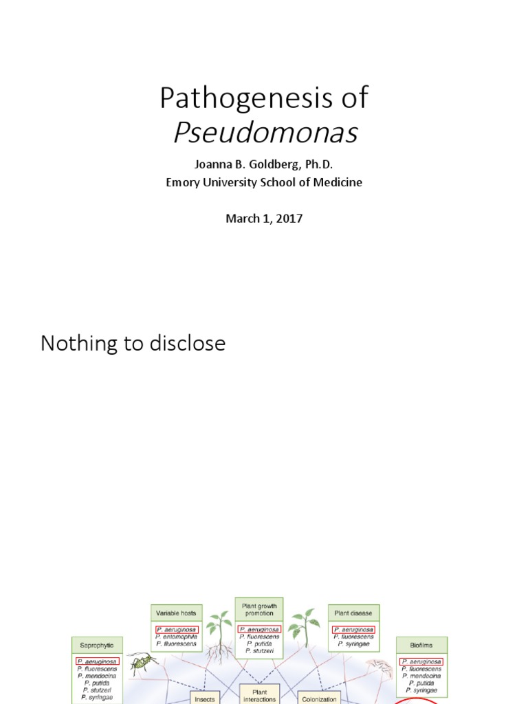 Pathogenesis Of: Pseudomonas | PDF | Biofilm | Pseudomonas Aeruginosa