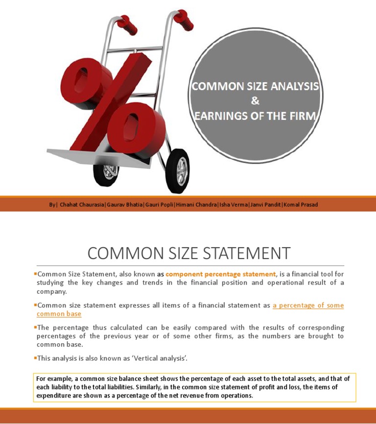 Common Size Statement Analysis | PDF
