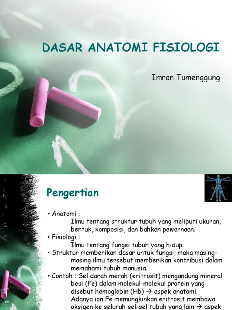 Dasar Anatomi Fisiologi | PDF