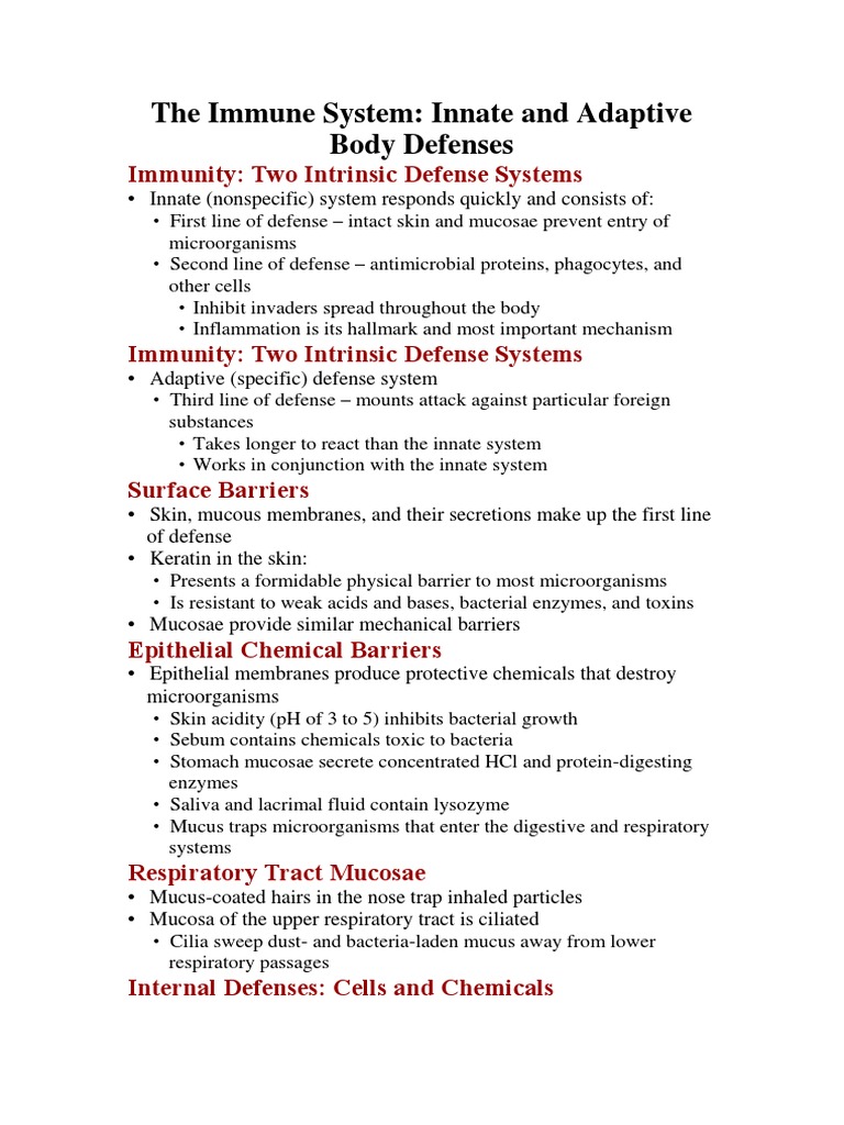 The Immune System | PDF | Antibody | Antigen