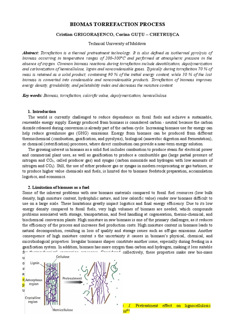 BIOMAS TORREFACTION PROCESS - Redactat1 | PDF | Biomass | Gasification