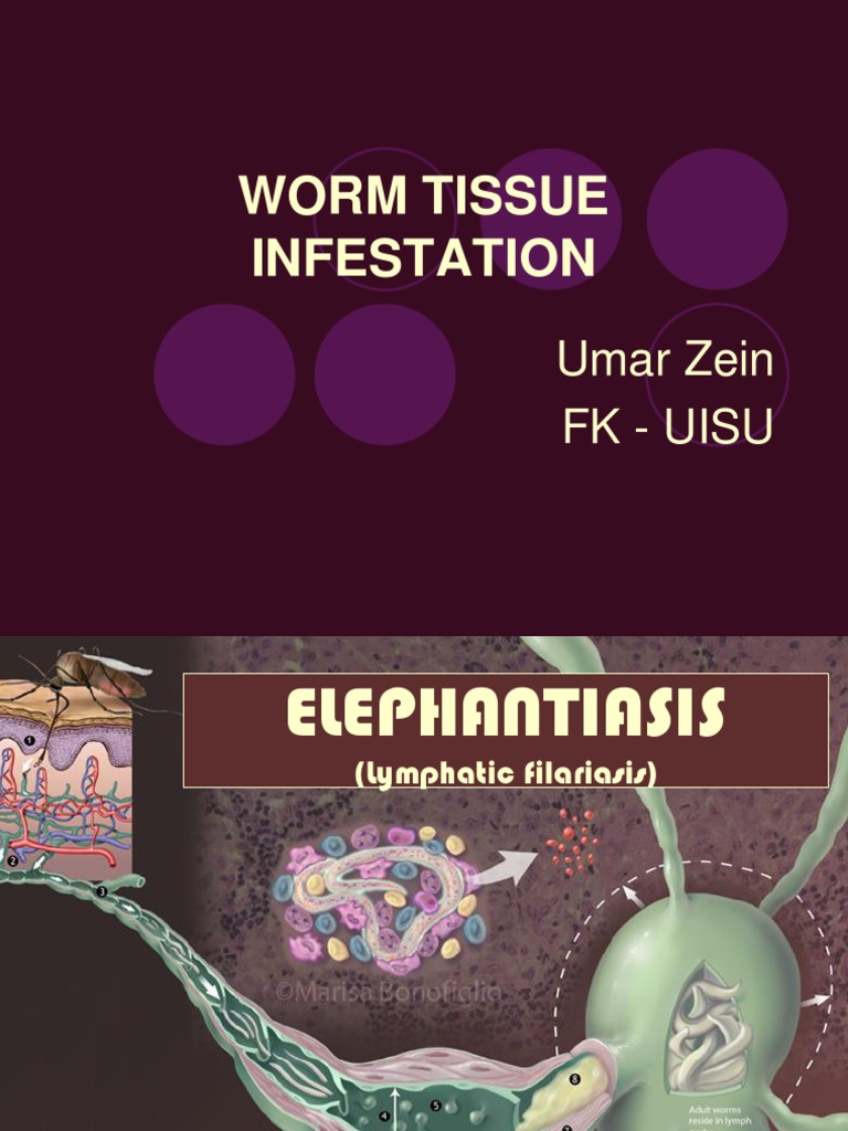 Worm Tissue Infestation: Umar Zein FK - Uisu | PDF | Diseases And ...