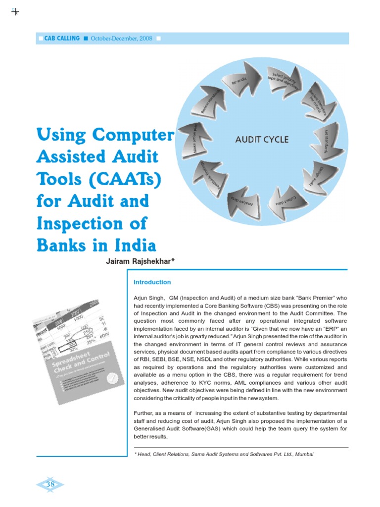 Using CAATs For Audit of Banks | PDF | Audit | Databases
