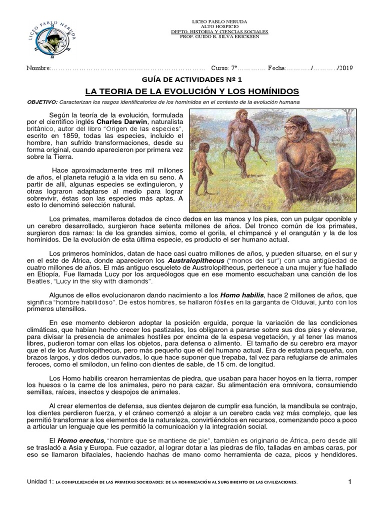 Guía Nº1 Hominización 7ºbásico | PDF | Evolución humana | Hominidae