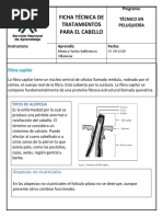Absorcion Cutanea | PDF | Piel | Absorción (Química)