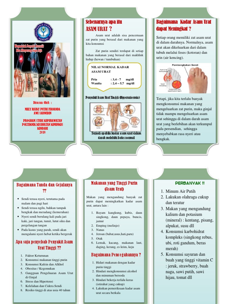 Asam Urat Leaflet CK | PDF