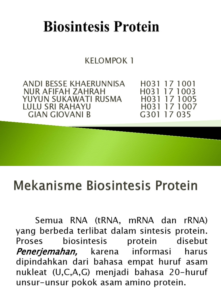 Proses Biosintesis Protein dan tRNA | PDF