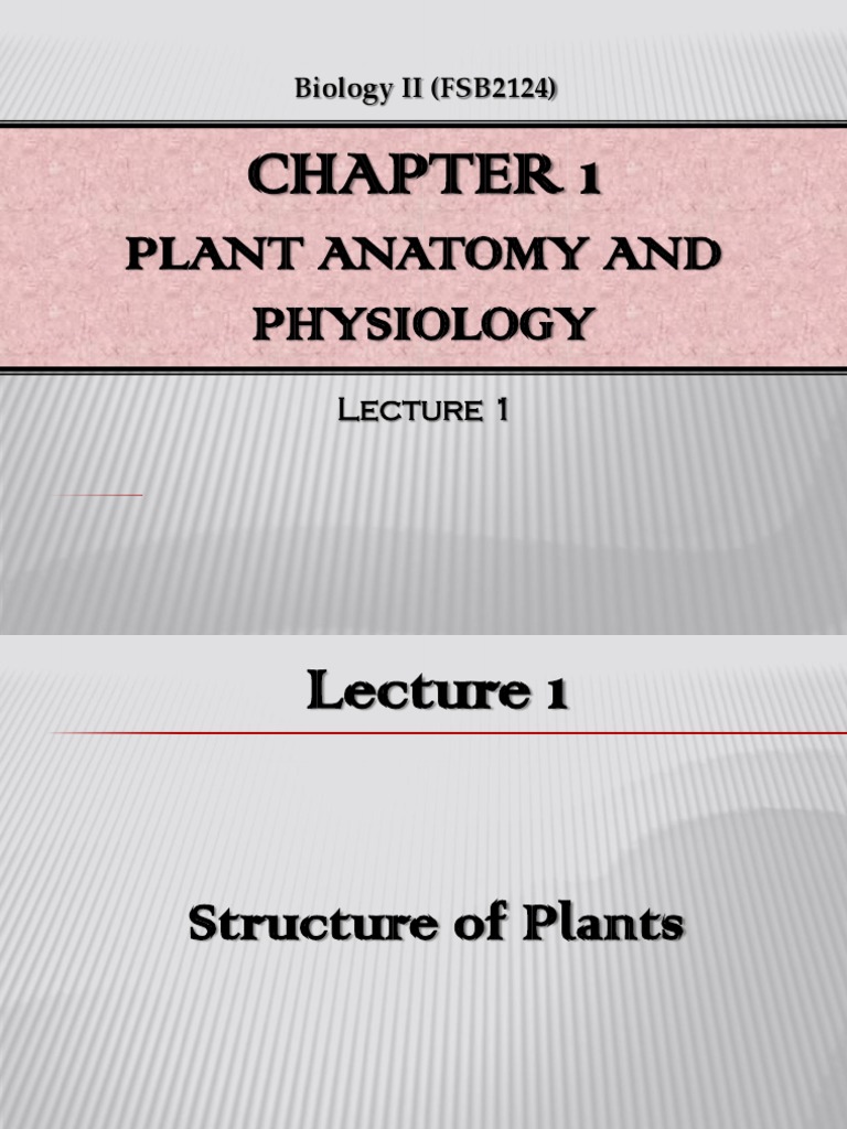 CHAPTER 1 (PART 1) - PLANT ANATOMY & PHYSIOLOGY.pdf | Tissue (Biology ...