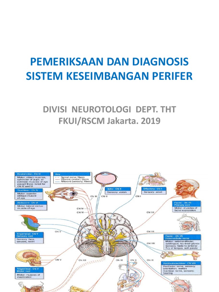 Pemeriksaan Dan Diagnosis Sistem Keseimbangan Perifer 2 | PDF