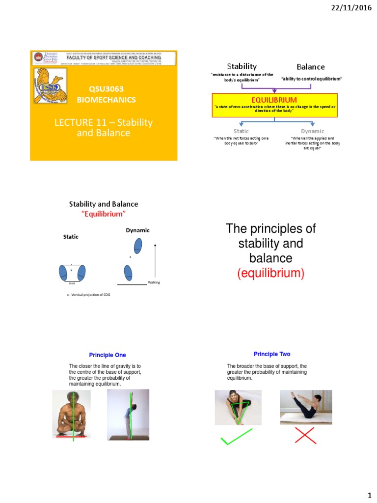 Equilibrium | PDF | Balance (Ability) | Mechanics