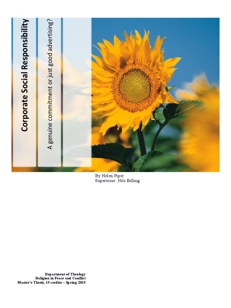 CSR Example 01 | Download Free PDF | Corporate Social Responsibility ...