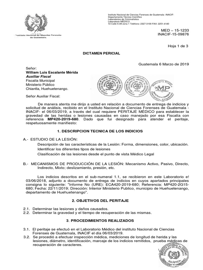 Dictamen Pericial | PDF | Lesión | Medicina CLINICA