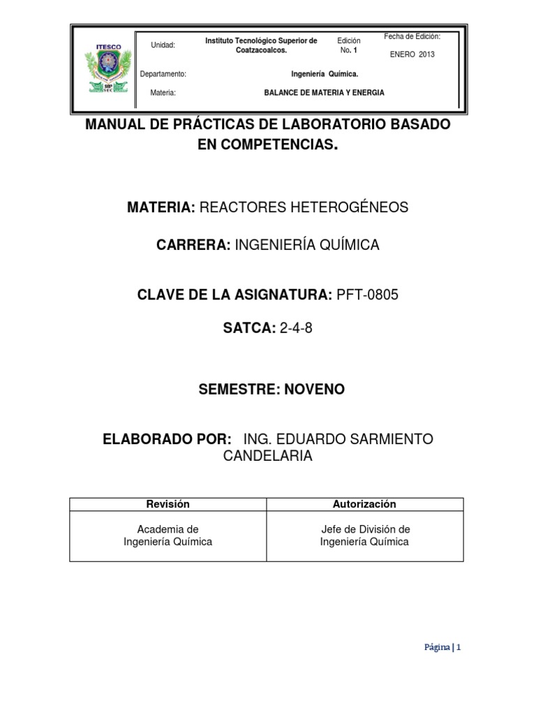 Manual Reactores Heterogeneos | PDF | Reactor Quimico | Ingeniería Química