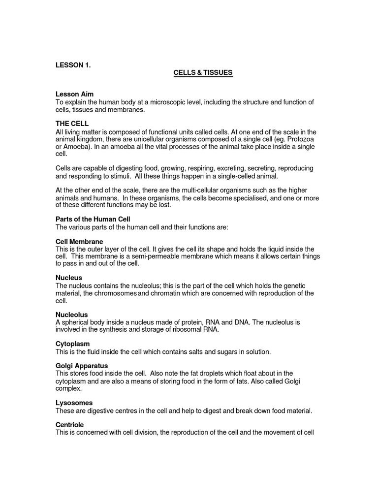 Cells & Tissues Lesson Explained | PDF | Osmosis | Tissue (Biology)