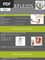 Miotomas - Definición y Pruebas - Kenhub | PDF | Codo | Neuroanatomía