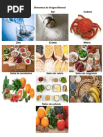 Alimentos Protectores Constructores y Energeticos | PDF